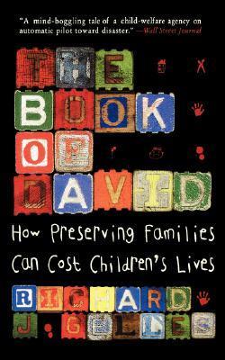The Book of David: How Preserving Families Can Cost Children's Lives by ...