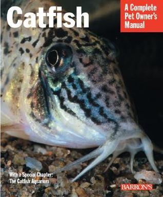 Catfish: Everything About Natural History, Purchase, Health Care ...