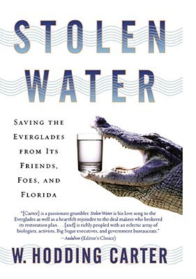 Stolen Water: Saving the Everglades from Its Friends, Foes, and Florida ...