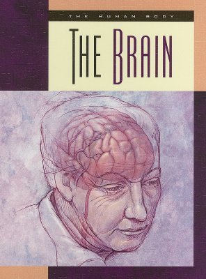 The Brain (The Human Body) by Susan H. Gray | Goodreads
