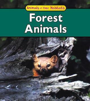Forest Habitats Animals