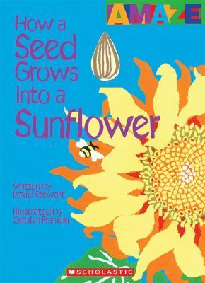 How a Seed Grows Into a Sunflower by David Stewart | Goodreads