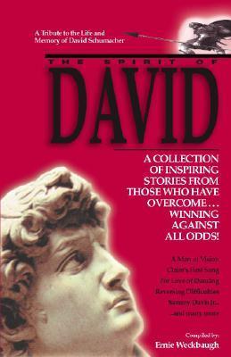 The Spirit of David: 7 Ways to Win Against All Odds by Ernie Weckbaugh ...