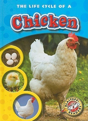 The Life Cycle of a Chicken by Colleen Sexton | Goodreads