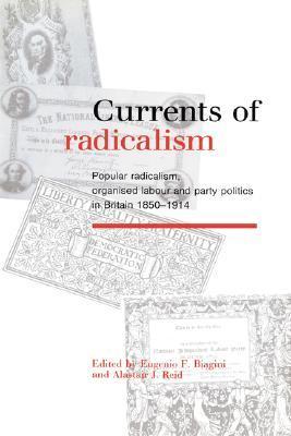 Currents of Radicalism: Popular Radicalism, Organised Labour and Party ...