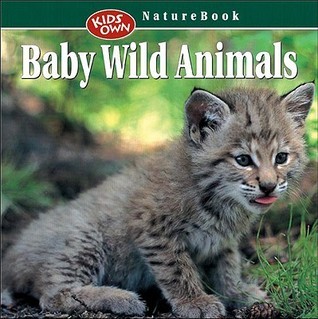 Baby Wild Animals (Kids Own Naturebook) by Dennis Schmidt | Goodreads