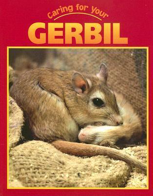 Caring for Your Gerbil (Caring for Your Pet) by Carol Koopmans | Goodreads