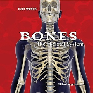 Bones: The Skeletal System (Body Works) by Gillian Houghton | Goodreads
