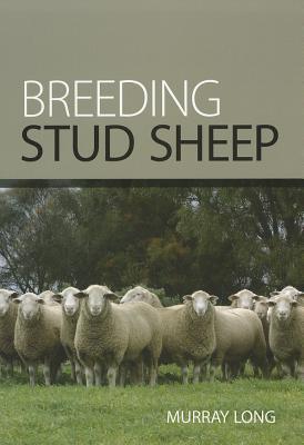 Breeding Stud Sheep [OP] by Murray Long | Goodreads