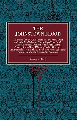 The Johnstown Flood: A Thriving City of 30,000 Inhabitants and Many ...