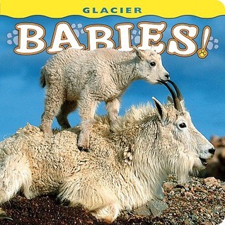 Glacier Babies! (Babies! by Bob Rozinski (photographers) | Goodreads