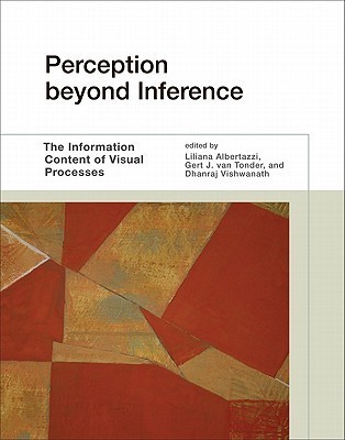 Perception beyond Inference: The Information Content of Visual ...