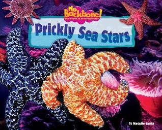 Prickly Sea Stars - Non-Fiction Reading for Grade 2, Developmental ...