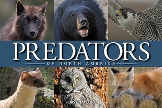 Predators of North America by Dave Taylor | Goodreads