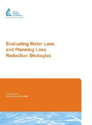 Evaluating Water Loss and Planning Loss Reduction Strategies by Paul ...