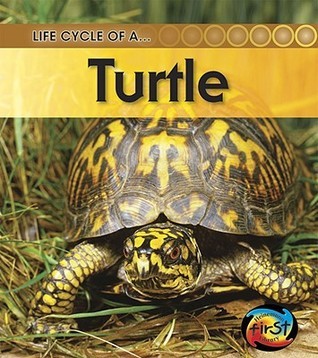 Life Cycle of A Turtle by Ron Fridell | Goodreads