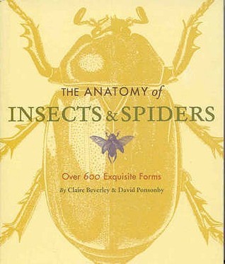 The Anatomy of Insects and Spiders by Claire Beverley | Goodreads