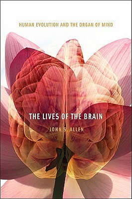 The Lives of the Brain: Human Evolution and the Organ of Mind by John S ...