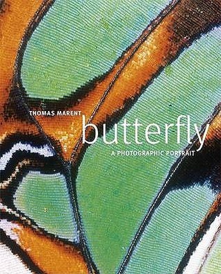 Butterfly by Thomas Marent | Goodreads