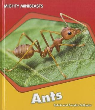 Ants (Mighty Minibeasts) by Debbie Gallagher | Goodreads