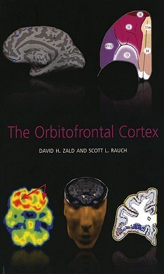 The Orbitofrontal Cortex by David H. Zald | Goodreads