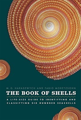The Book of Shells: A Life-Size Guide to Identifying and Classifying ...
