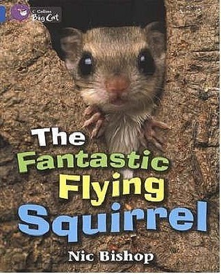 The Fantastic Flying Squirrel: Band 04/Blue by Nic Bishop | Goodreads
