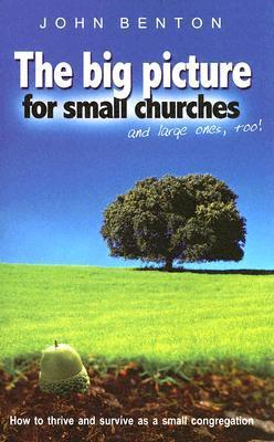 The Big Picture for Small Churches and Large Ones, Too!: How to Thrive ...