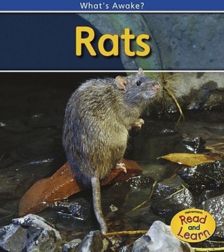 Rats (What's Awake?) by Patricia Whitehouse | Goodreads