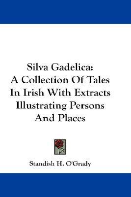 Silva Gadelica: A Collection Of Tales In Irish With Extracts ...
