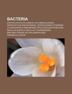 Bacteria: Staphylococcus Aureus, Lactobacillaceae, Deinococcus ...