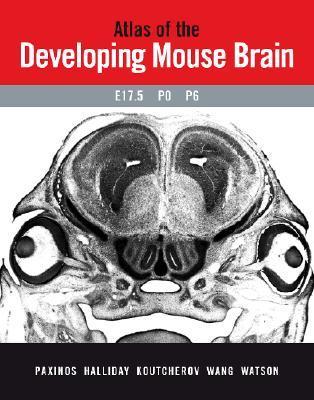 Atlas of the Developing Mouse Brain: E17.5, P0 and P6 by George Paxinos ...