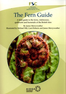The Fern Guide by James Merryweather | Goodreads