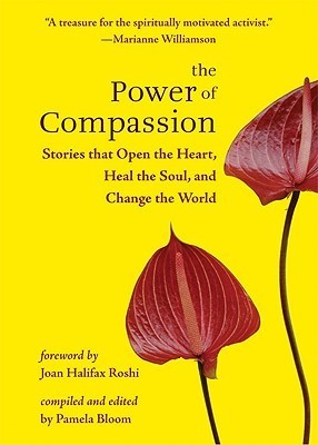 The Power of Compassion: Stories That Open the Heart, Heal the Soul ...