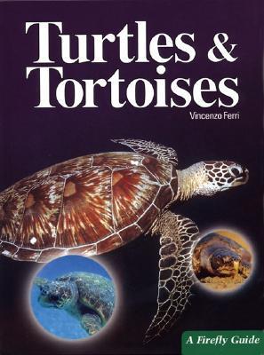 Turtles and Tortoises (A Firefly Guide) by Vincenzo Ferri | Goodreads