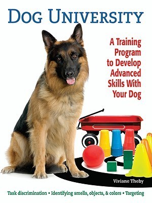 Dog University: A Training Program to Help Develop Advanced Skills With ...