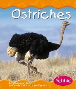 Ostriches (Pebble Books) by William John Ripple | Goodreads