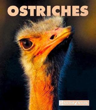 Ostriches (New Naturebooks, 1264) by Thane Maynard | Goodreads