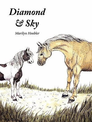Diamond & Sky by Marilyn E. Hoobler | Goodreads