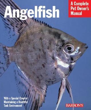 Angelfish: Everything About History, Care, Nutrition, Handling, and ...