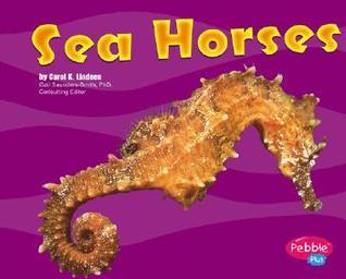 Sea Horses (Pebble Plus) by Carol K. Lindeen | Goodreads