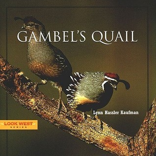 Gambel's Quail by Lynn Hassler Kaufman | Goodreads