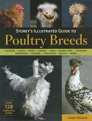 Storey's Illustrated Guide to Poultry Breeds: Chickens, Ducks, Geese ...
