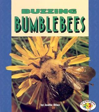 Buzzing Bumblebees (Pull Ahead Books) by Joelle Riley | Goodreads