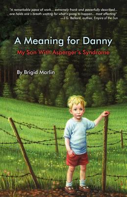 A Meaning for Danny by Brigid Marlin | Goodreads