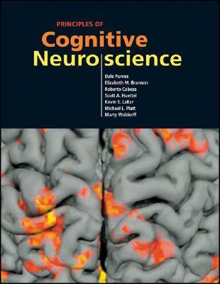 Principles of Cognitive Neuroscience by Dale Purves | Goodreads