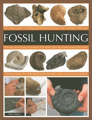 Fossil Hunting: An Expert Guide to Finding, and Identifying Fossils and ...