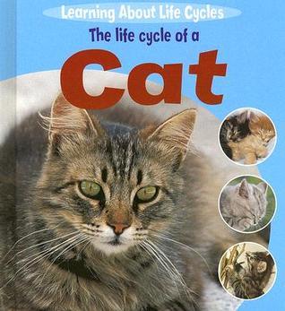 The Life Cycle of a Cat (Learning About Life Cycles) by Ruth Thomson ...