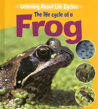 The Life Cycle of a Frog (Learning About Life Cycles) by Ruth Thomson ...