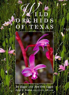 Wild Orchids of Texas (Corrie Herring Hooks Series) by Joe Liggio ...